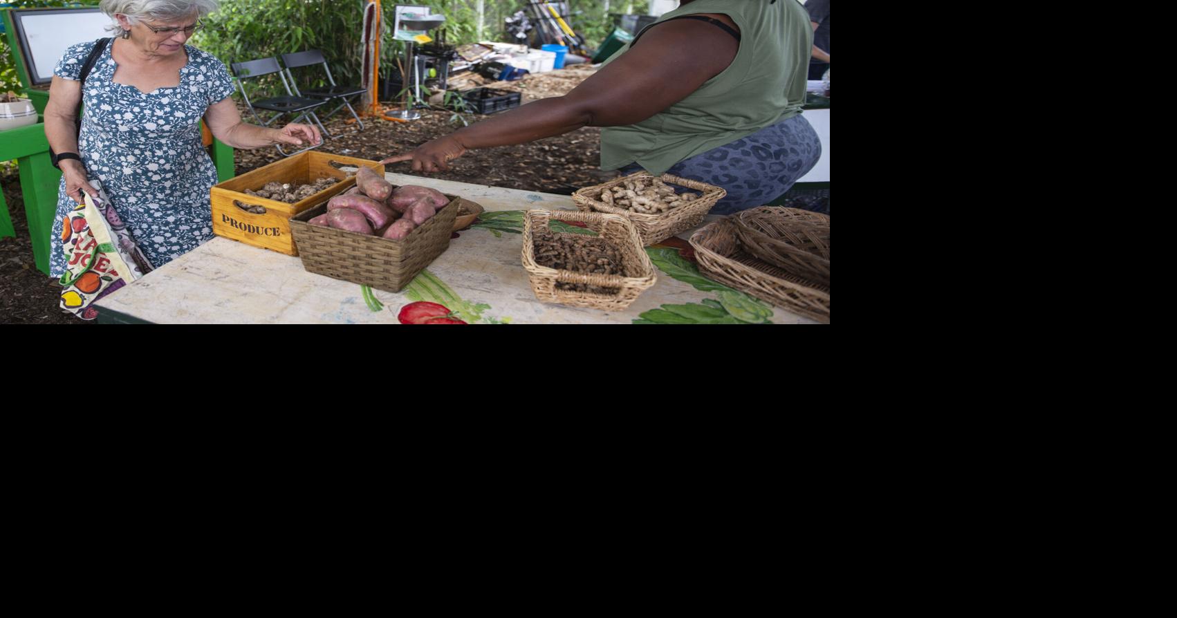 Food as medicine? Acadiana doctors to start prescribing fruit and ...