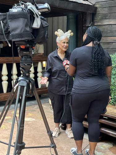 Disney offers peek at NOLA-inspired Tiana’s Bayou Adventure ...