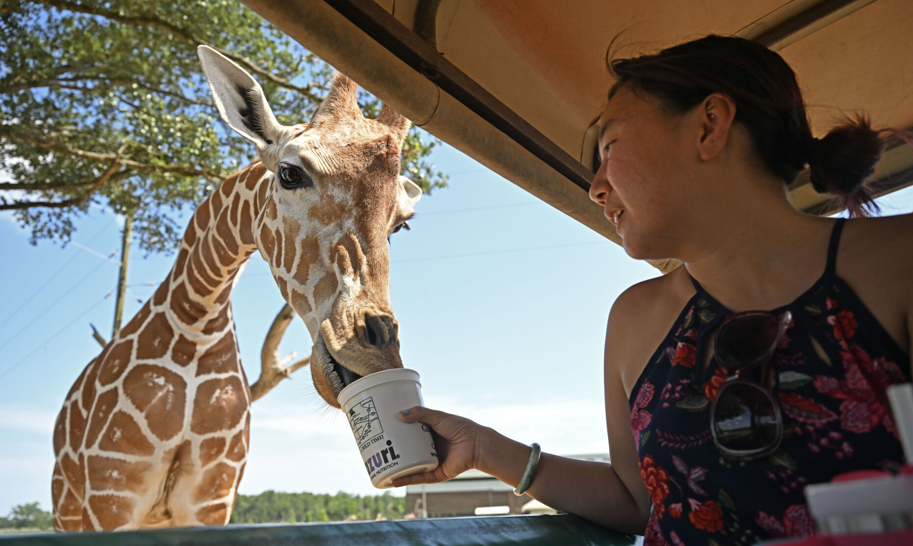 Louisiana Global Wildlife Center adds experiences, animals | Travel ...