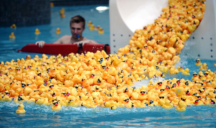 Photos: Running of the Ducks | Photos | theadvocate.com