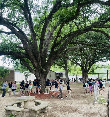 Slaughter Elementary students get steps in before school | East ...