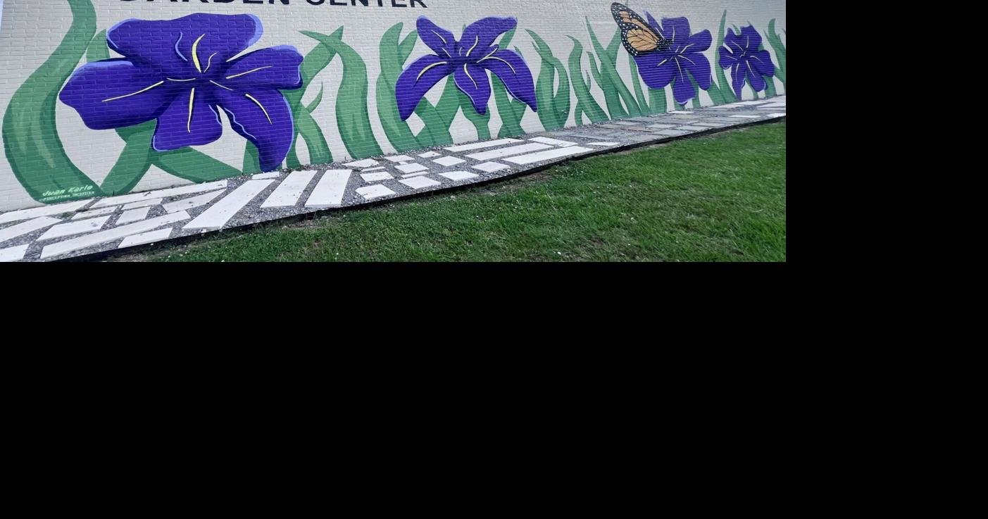 If you're going butterfly hunting, here's a perfect spot | Home/Garden ...