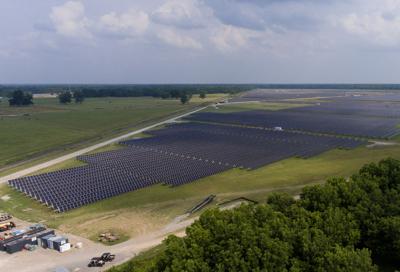 LSU tests solar farm impact with new research study | Education ...