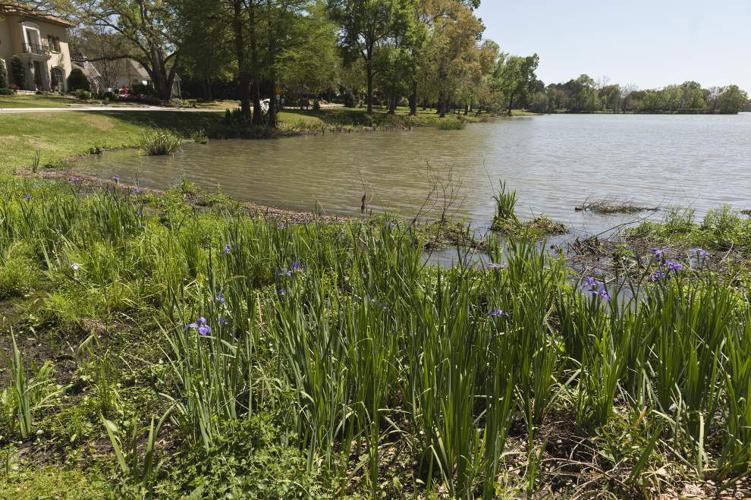 Maps released Thursday detail proposed upgrades to Baton Rouge lakes ...