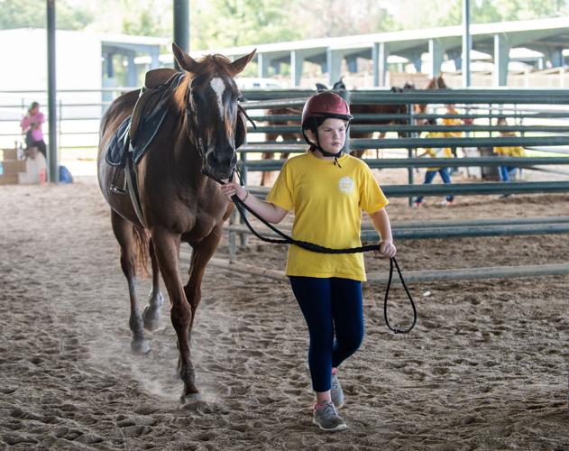 PHOTOS: Farr Park Equestrian Summer Camp | Baton Rouge | theadvocate.com