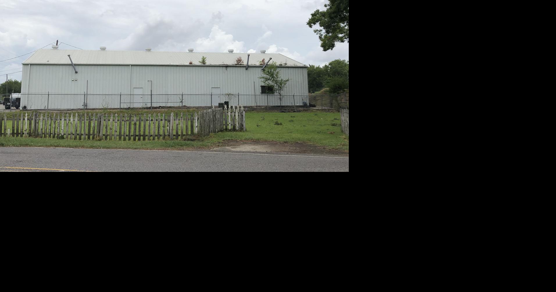 Ask The Advocate: Trees on the roof? Sidewalk repairs needed | News ...