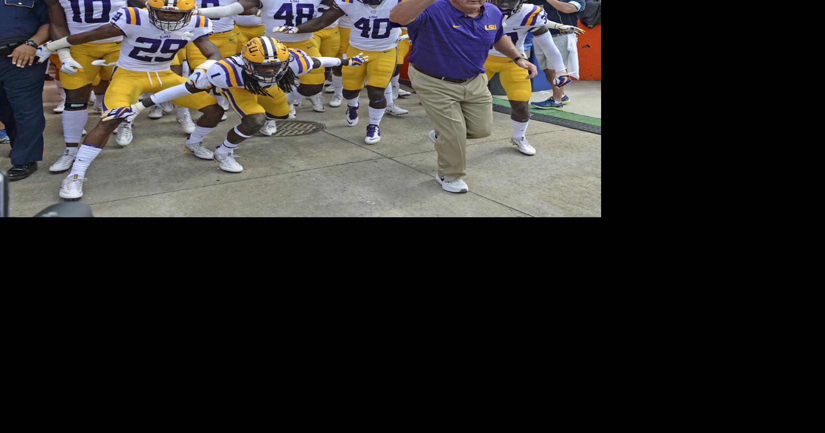 Cost of LSU athletics: See sport-by-sport revenue, expenses that make ...