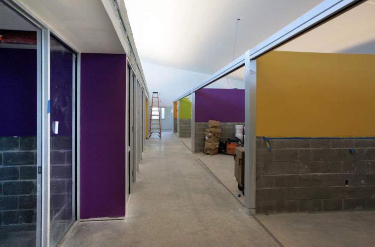 New Louisiana SPCA veterinary office to open this May after 7 year wait ...