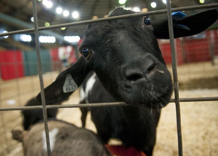 Need weekend plans? Seven things to do in Baton Rouge April 7-9 ...