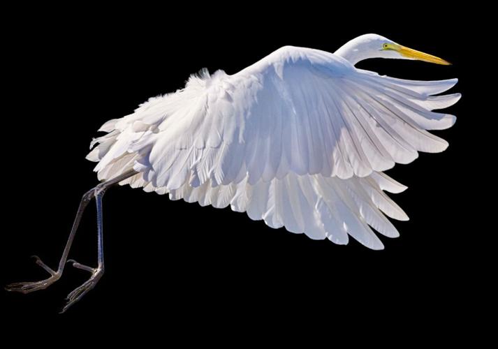 Baton Rouge Gallery's June exhibitions run through June 29 ...