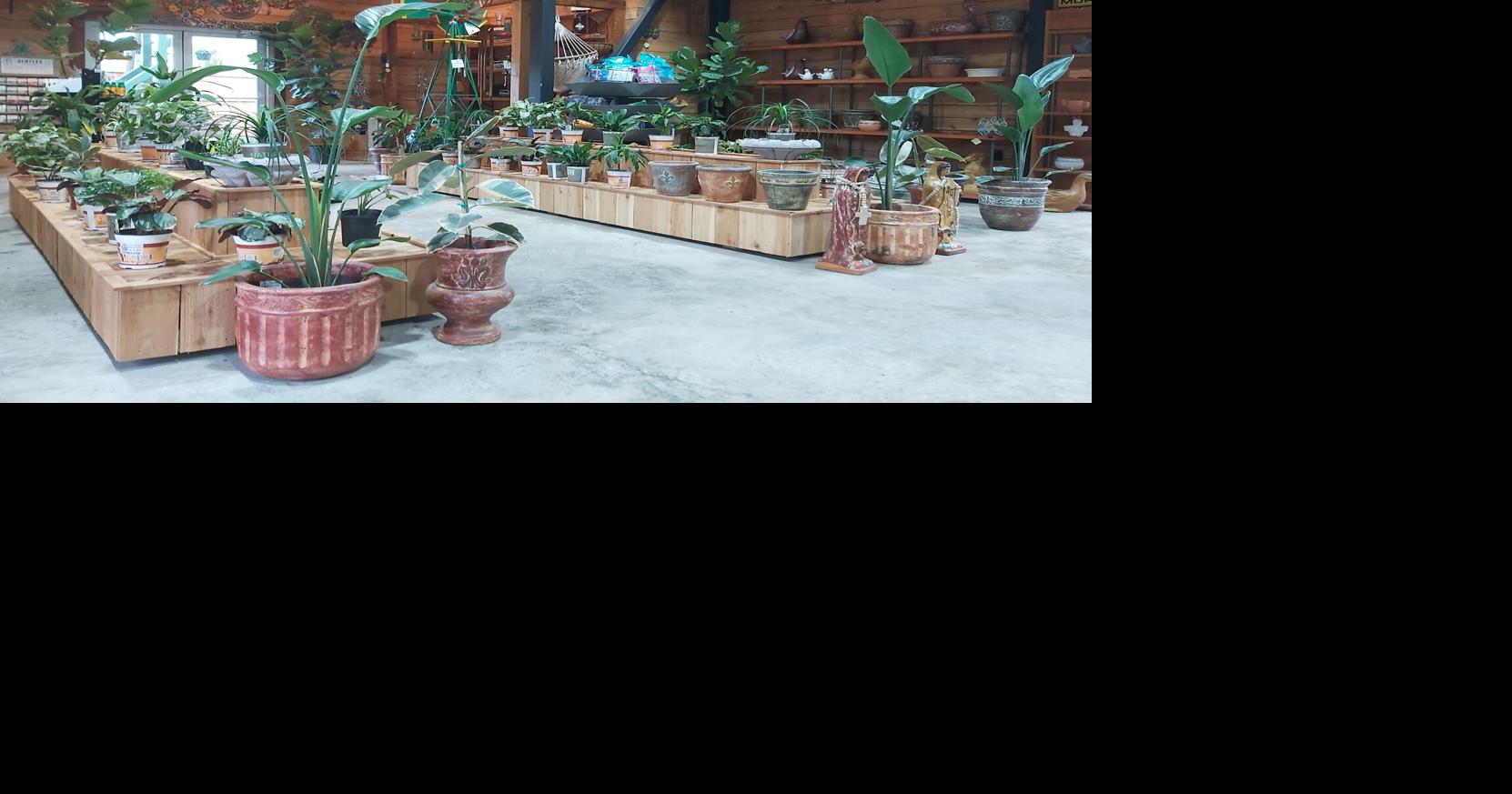 Plant Barn 1 | | theadvocate.com