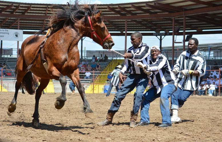 Guts and glory | | theadvocate.com