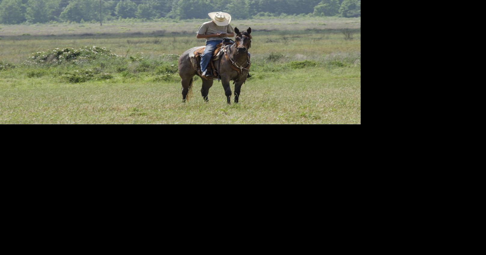 Smiley: Got those August blues again | Smiley Anders | theadvocate.com