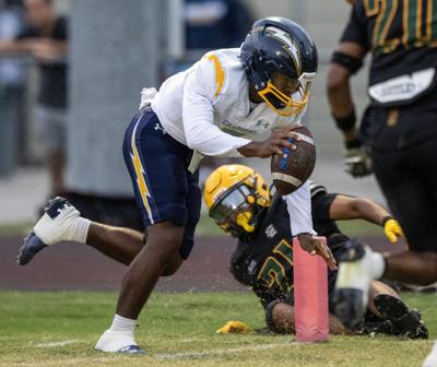 How they Fared: See which football teams ranked in LSWA's polls won in ...