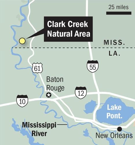 Looking for waterfalls? Hike Mississippi's Clark Creek | Entertainment ...