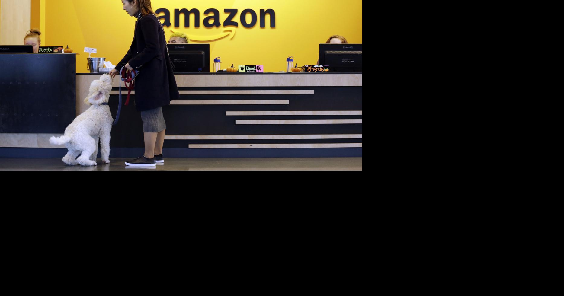 Amazon receives 238 proposals for new headquarters from nearly every ...