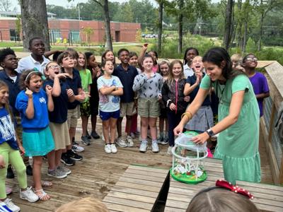 Bains Elementary science class releases butterflies after study | St ...