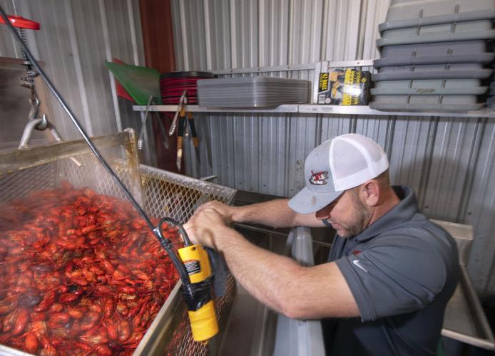 Crawfish prices drop in Louisiana as season heats up | Business ...