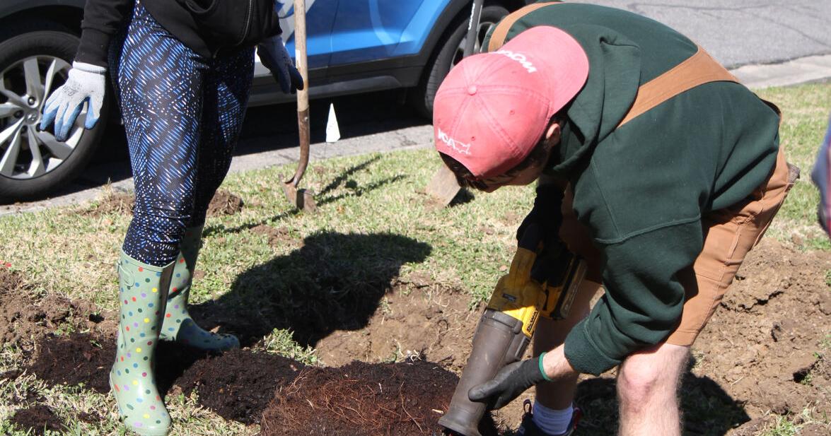 BR.greenwall.adv.02.jpg | | theadvocate.com