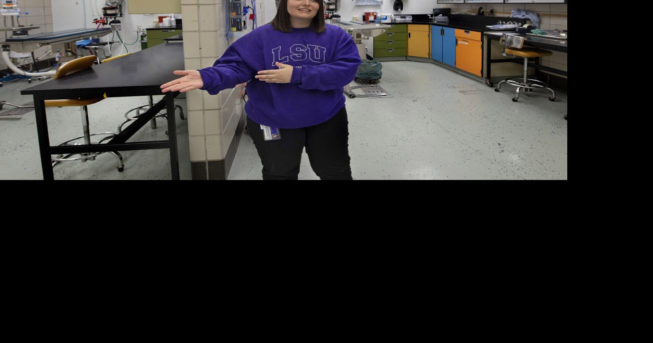 Louisiana investing millions in LSU veterinary medicine | Education ...