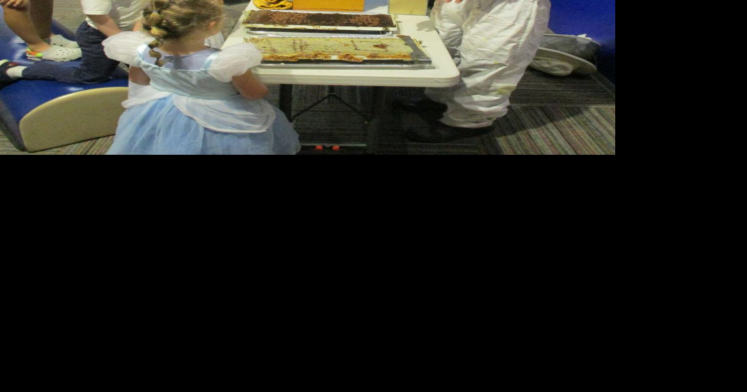 All about bees — The life of a bee explained during Hammond talk ...