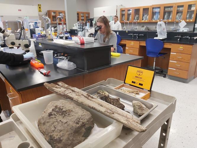 BRCC sponge research project breaks ground, opens doors | Louisiana ...