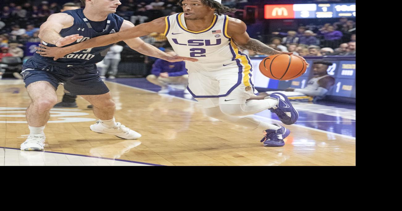 LSU basketball gets lift from freshman guard Mike Williams | LSU ...