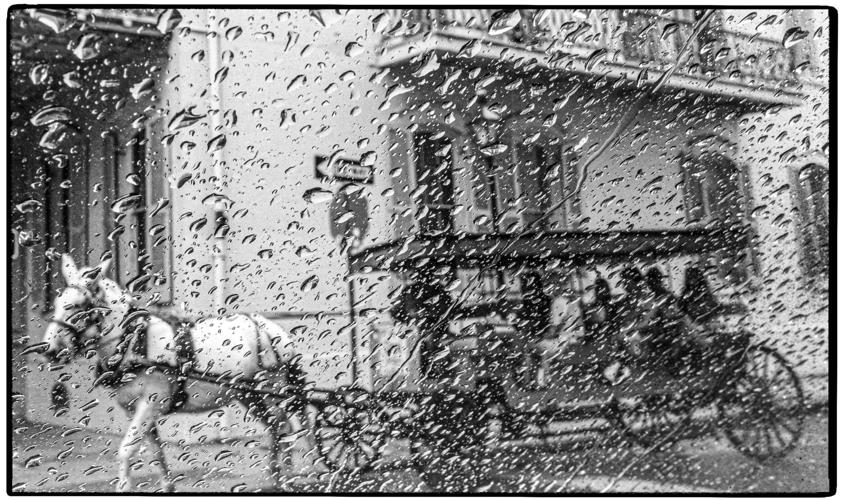 A review on two books about Hurricane Katrina recovery | Books ...