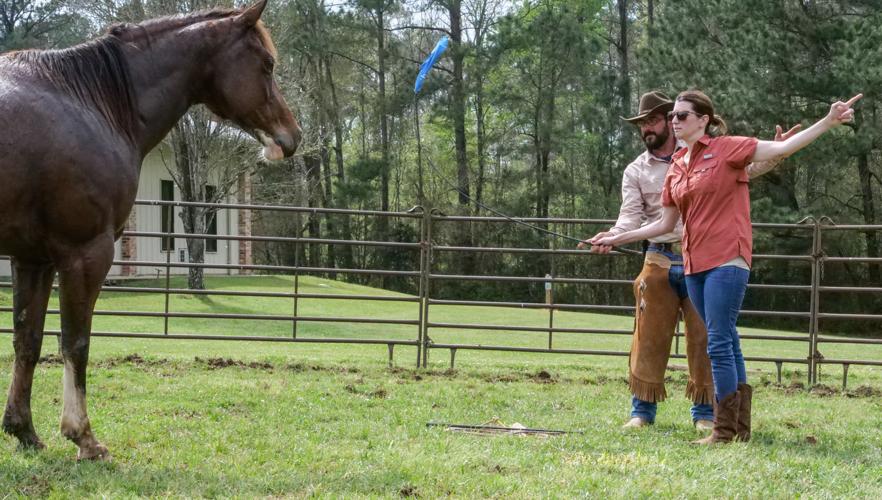 Moms and daughters take a day to learn about horses, riding | East ...