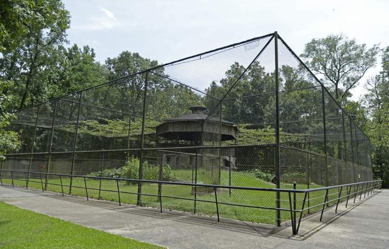 'A great city has a great zoo': Study suggests bigger, more up-to-date ...