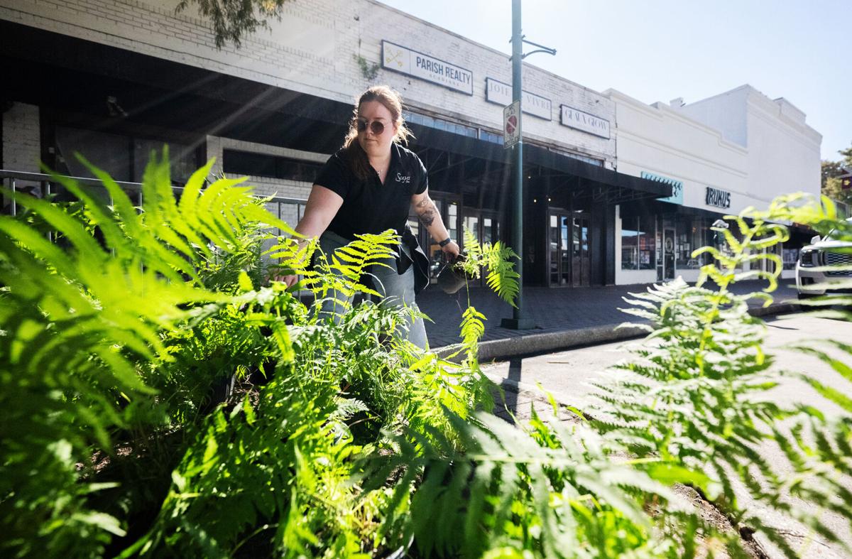 ACA.wildbloom.adv.004.jpg | | theadvocate.com