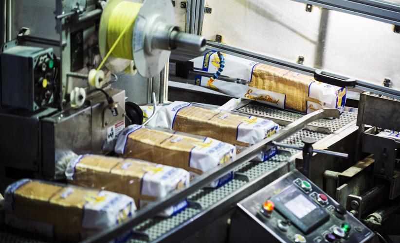 Evangeline Maid 100 years later: timeline of how the bread company ...