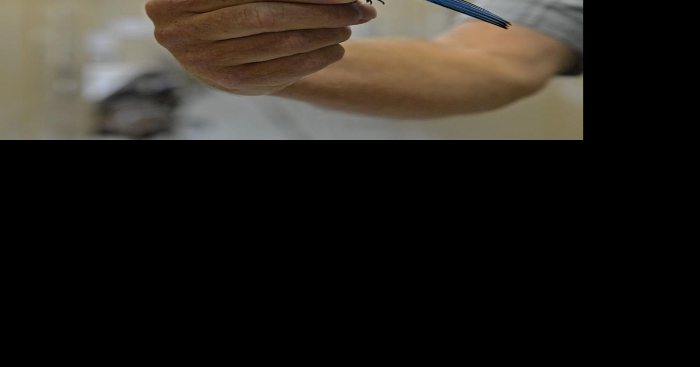 LSU Museum of Natural Science offers peek at behind-the-scenes research ...
