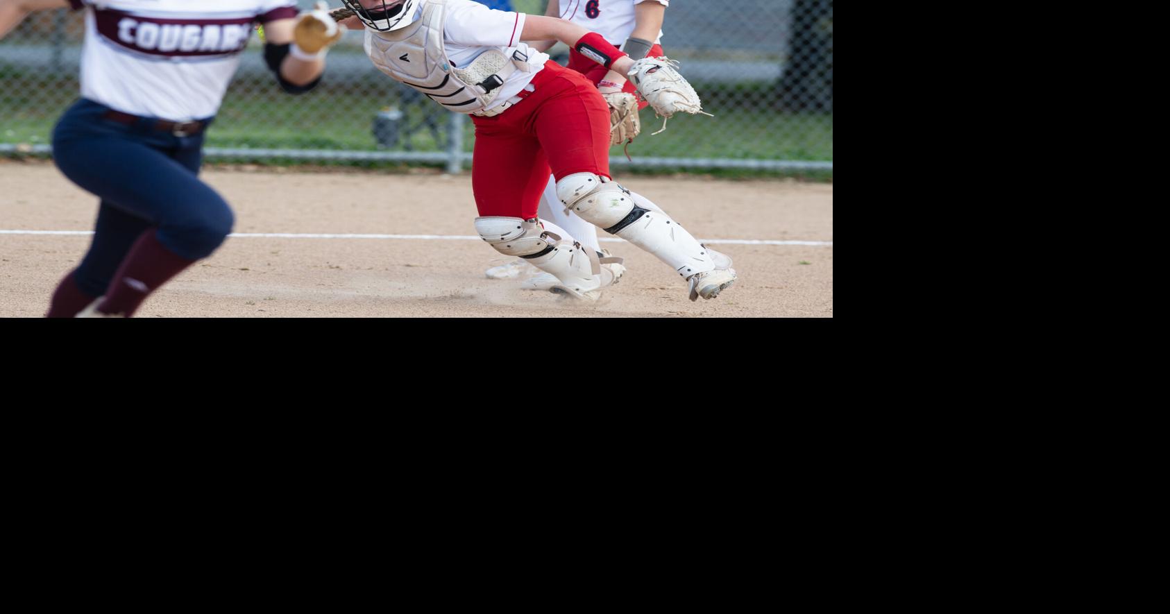 Saturday's area baseball and softball scores, linescores | High Schools ...