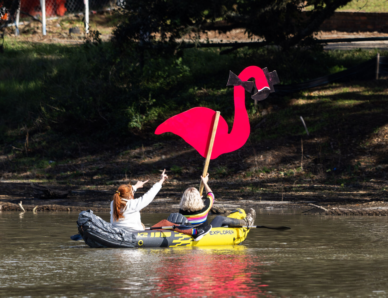 BR.flamingos.adv_4657 MJ.JPG | | theadvocate.com