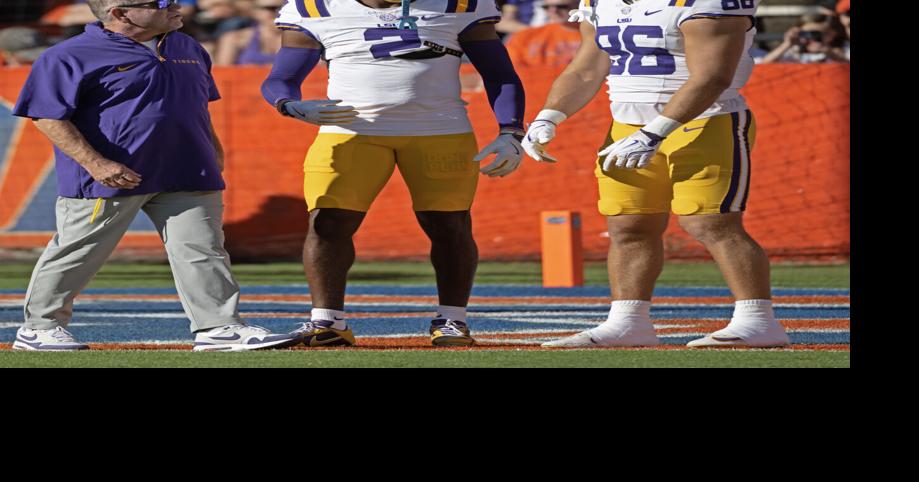 Kyren Lacy lashes out at Brian Kelly during LSU-Florida game | LSU ...