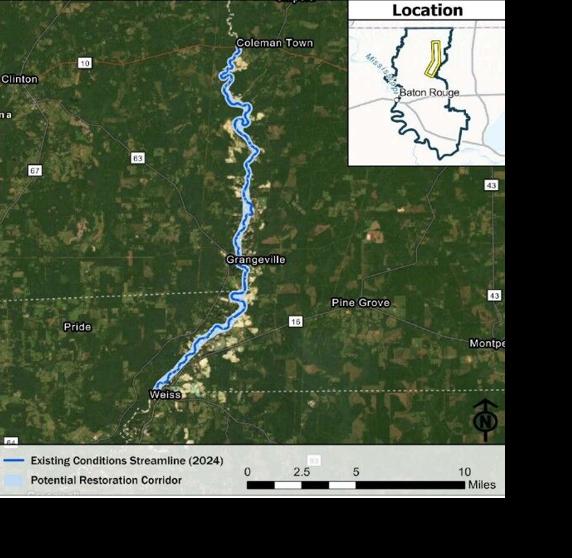 $4B Amite River Basin proposal mixes old and new ideas | Business ...