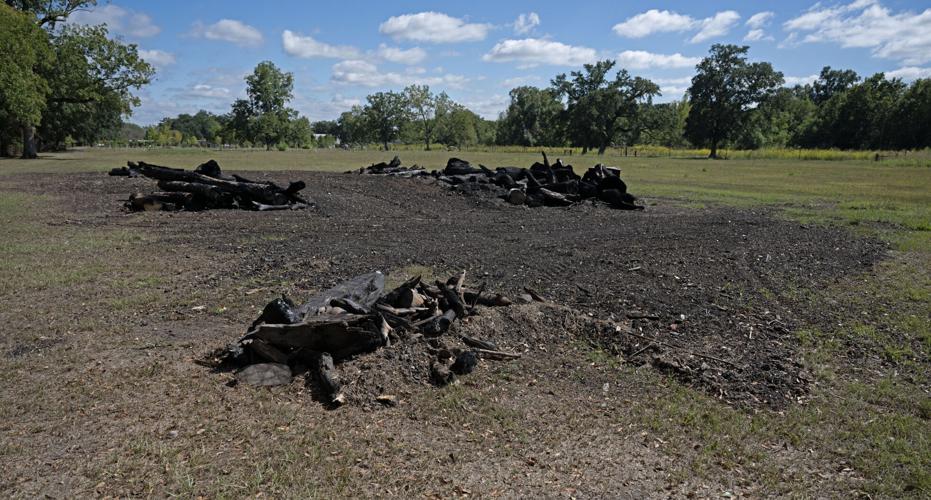 Monster bonfire being saved for the holidays came to ruins | News ...