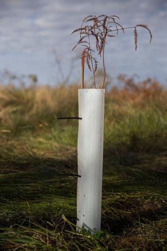 Unique grant to pay for Louisiana floor risk reduction | Environment ...