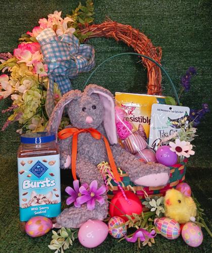 Rescue Alliance hosts Easter basket drive for pets | Ascension ...