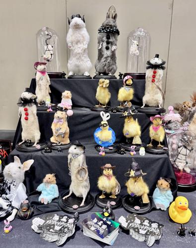 NO.odditiescuriositiesexpo | | theadvocate.com