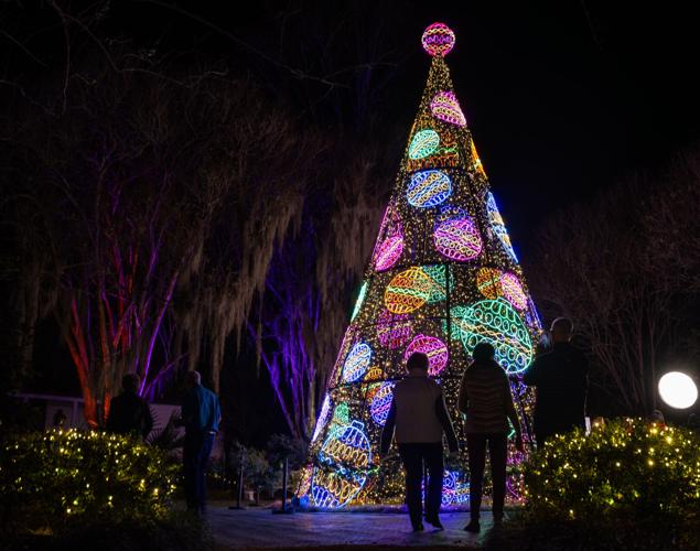 Louisiana Lights at Windrush Gardens transform the landscape | Baton ...