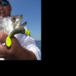 Redfish crushing bait along Venice's Southwest Pass | Louisiana ...