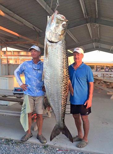 David Prevost lands what could be state-record tarpon | Louisiana ...