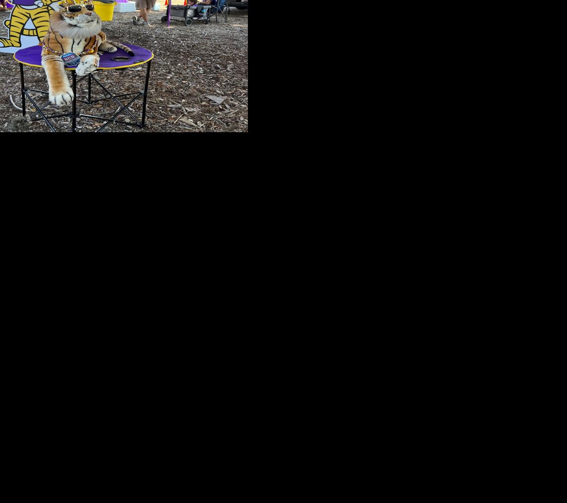 Baton Rouge Bucket List: tailgating at LSU | Entertainment/Life ...