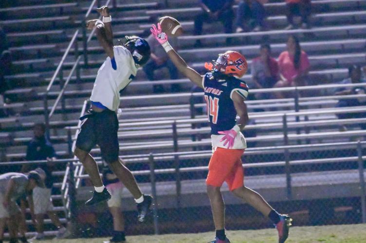 LRCH's senior receiver provides spark for Tigers' offense | High ...