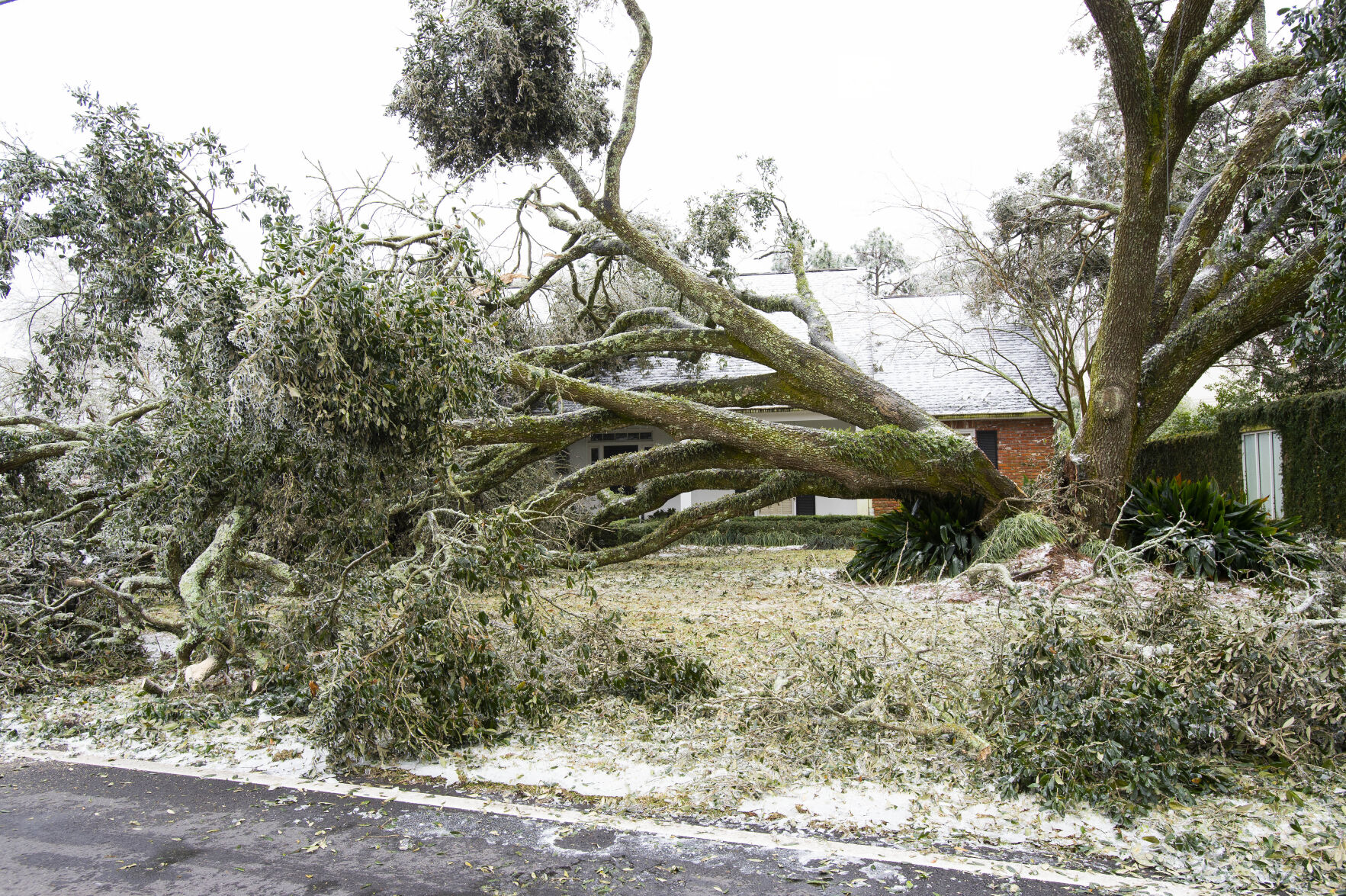 Winter storm pickup could take 4-6 weeks in Baton Rouge; here's where ...