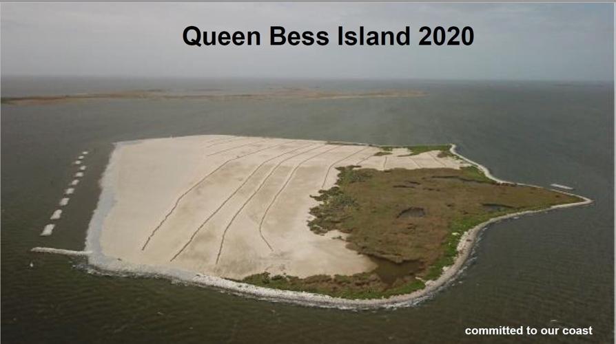 Rebuilt barrier islands are restoring brown pelican numbers ...