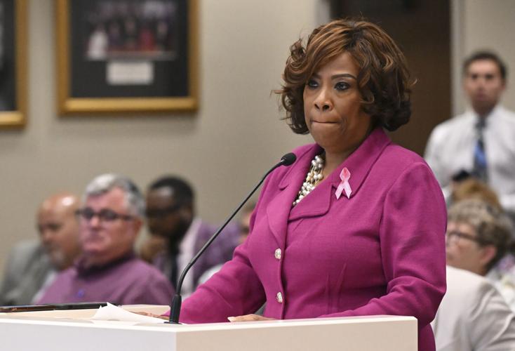 Metro Council grills parish officials over stormwater debacle, rejects ...