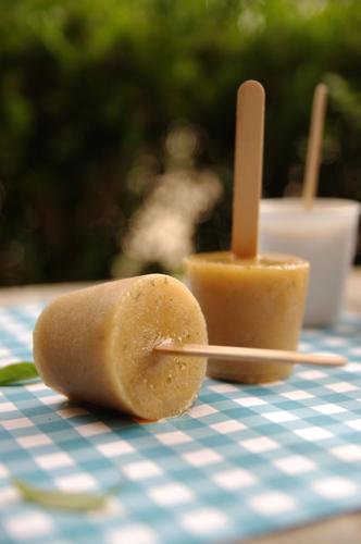 I Eat La.: Recipe for Melon Pops | Food/Restaurants | theadvocate.com